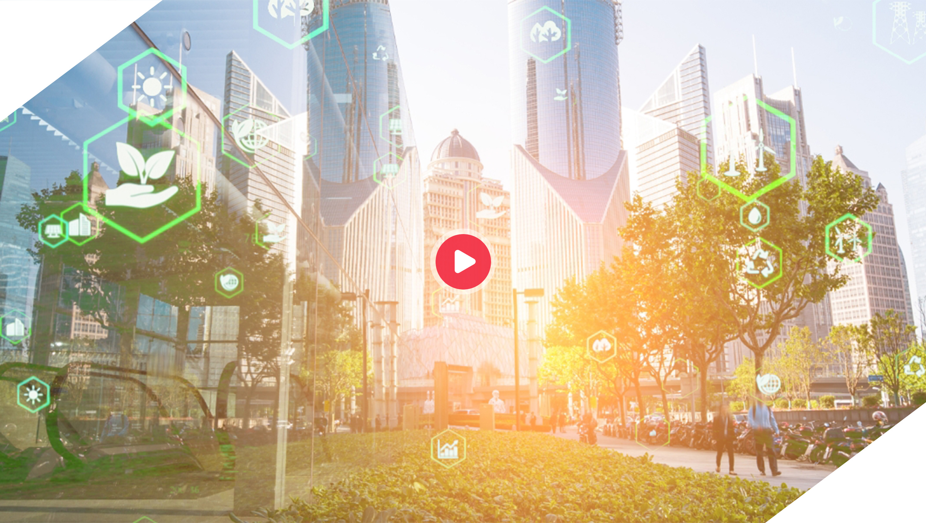 Building a Prosperous, Sustainable Planet, Together!